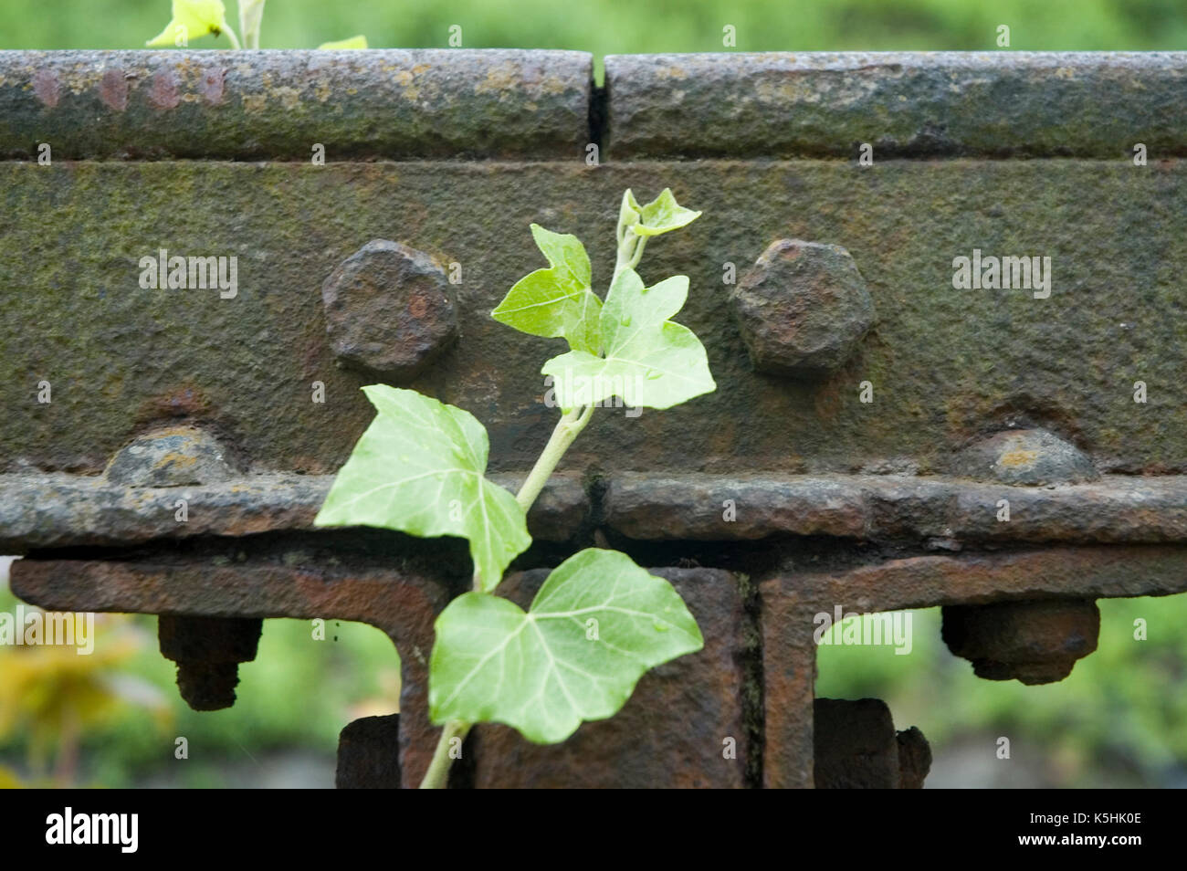Climbing on railing hi-res stock photography and images - Alamy