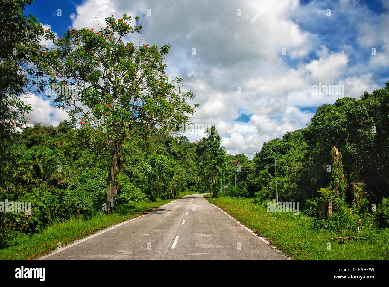 kuching countryside, borneo, malaysia Stock Photo - Alamy