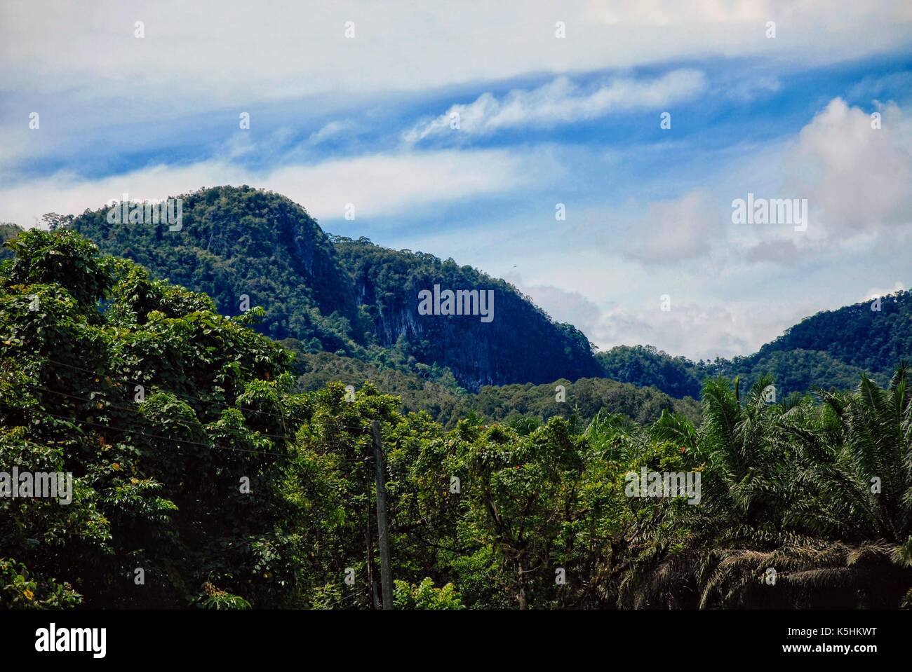 kuching countryside, borneo, malaysia Stock Photo - Alamy