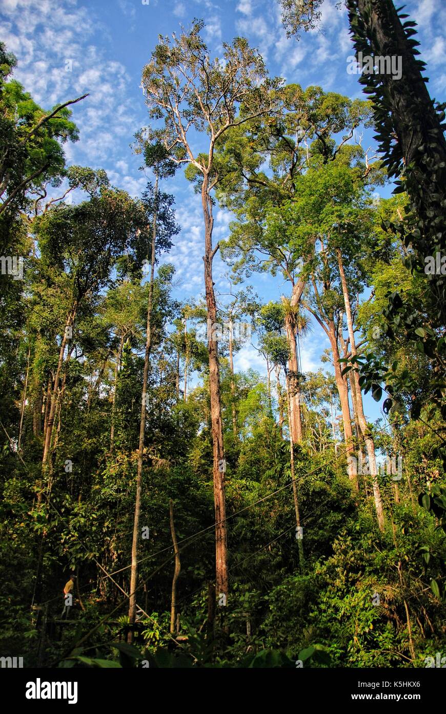 kuching countryside, borneo, malaysia Stock Photo - Alamy