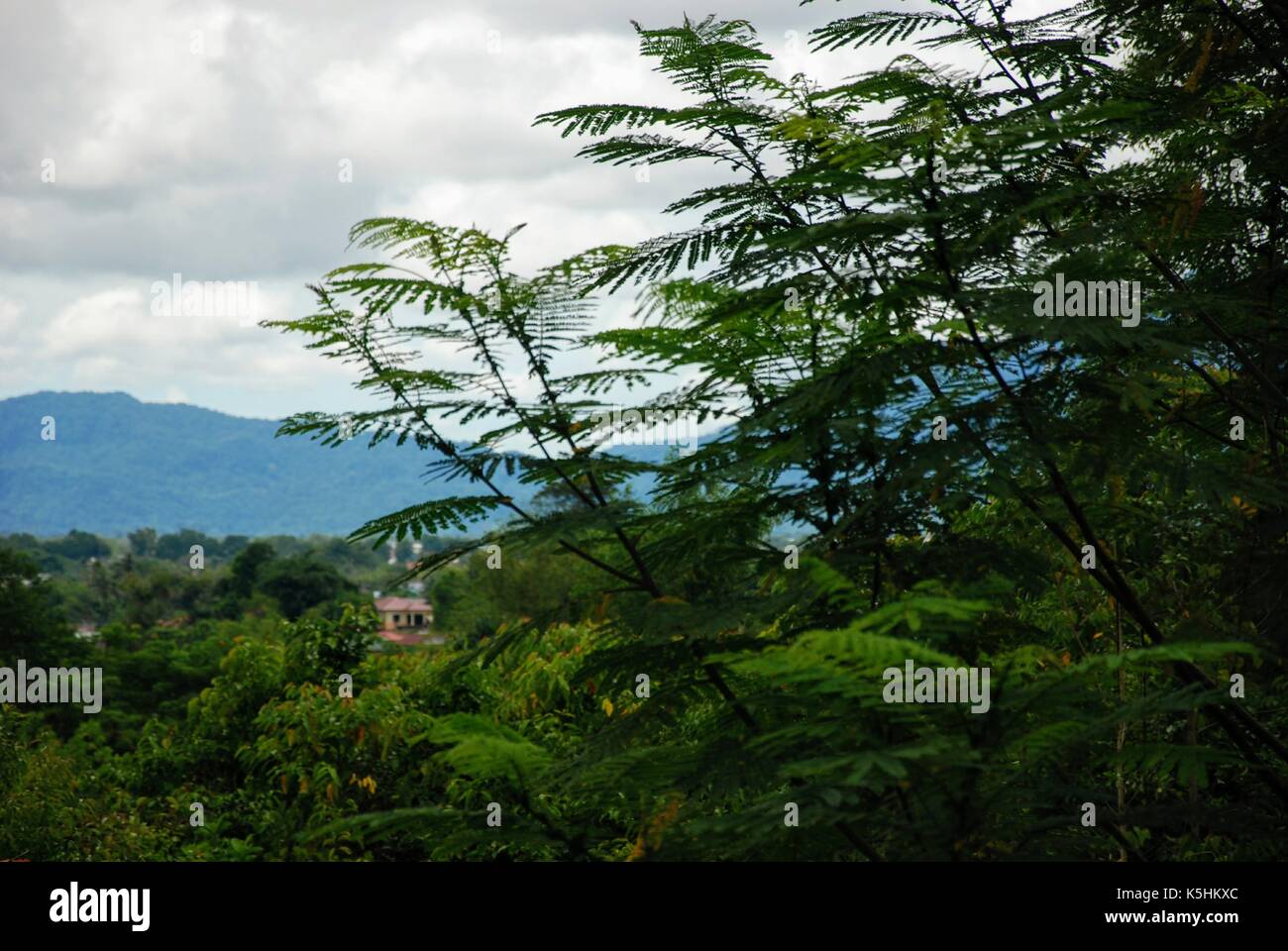 kuching countryside, borneo, malaysia Stock Photo - Alamy
