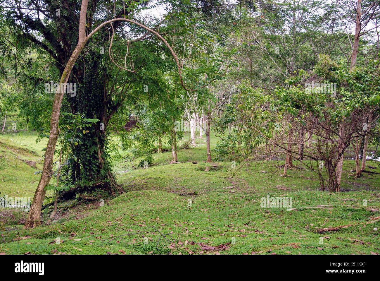 kuching countryside, borneo, malaysia Stock Photo - Alamy
