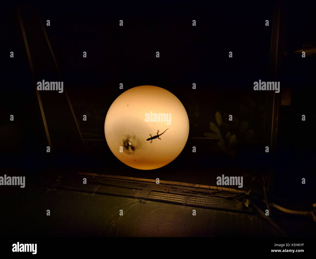 Chinese lizard tail hi-res stock photography and images - Alamy