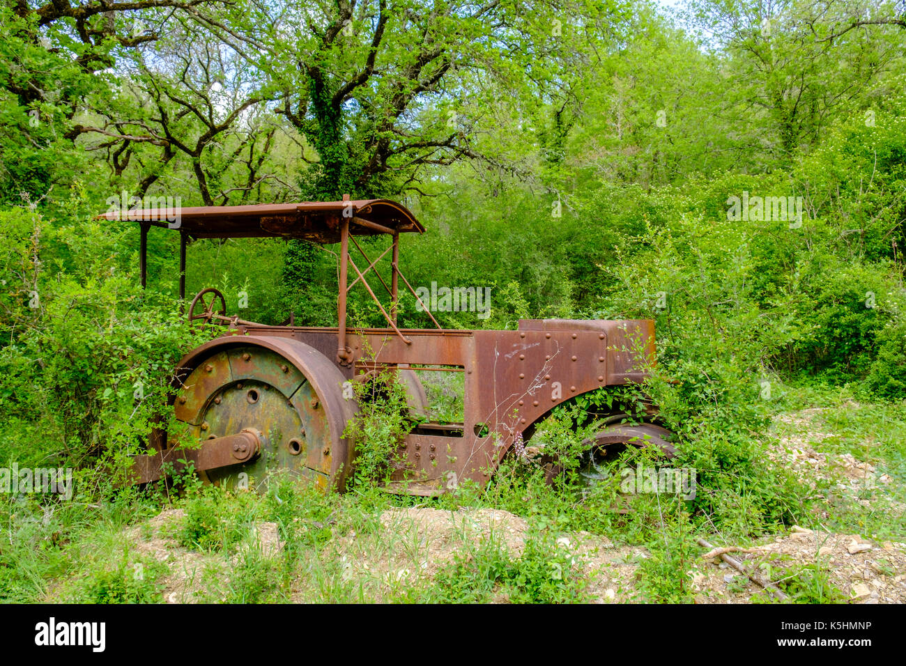 The wrecked, rusty steamroller is left between trees in a dense forest ...