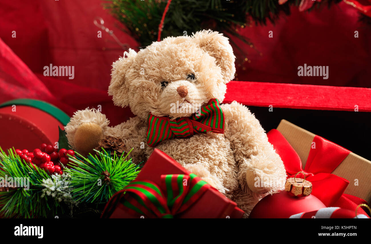 Teddy bear in gift box hi-res stock photography and images - Alamy