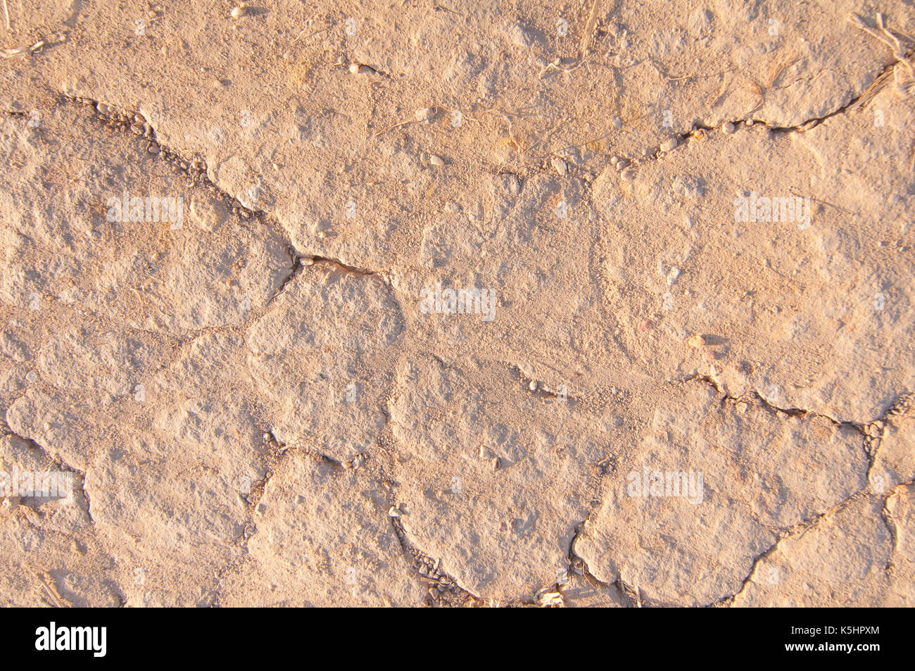 Texture of the ground, soil close-up, broken ground background Stock ...