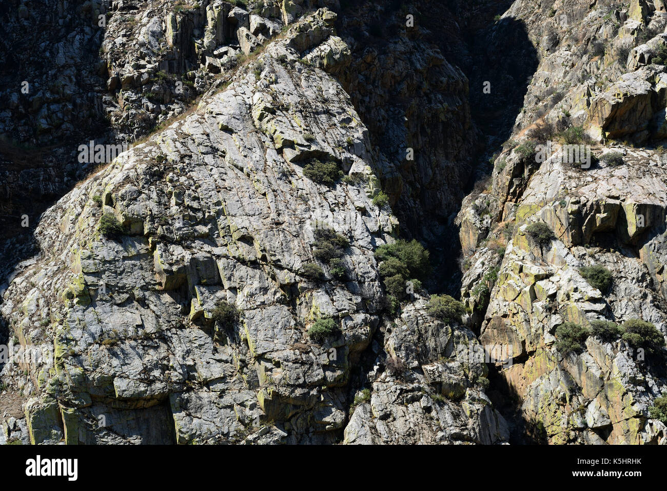 Rude Shape High Resolution Stock Photography and Images - Alamy