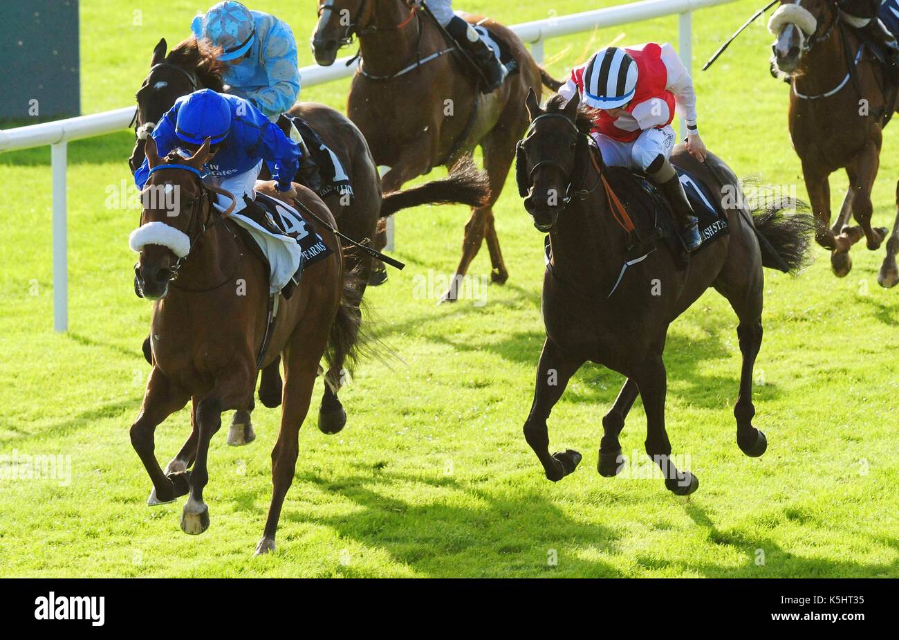 Rory cleary hi-res stock photography and images - Alamy