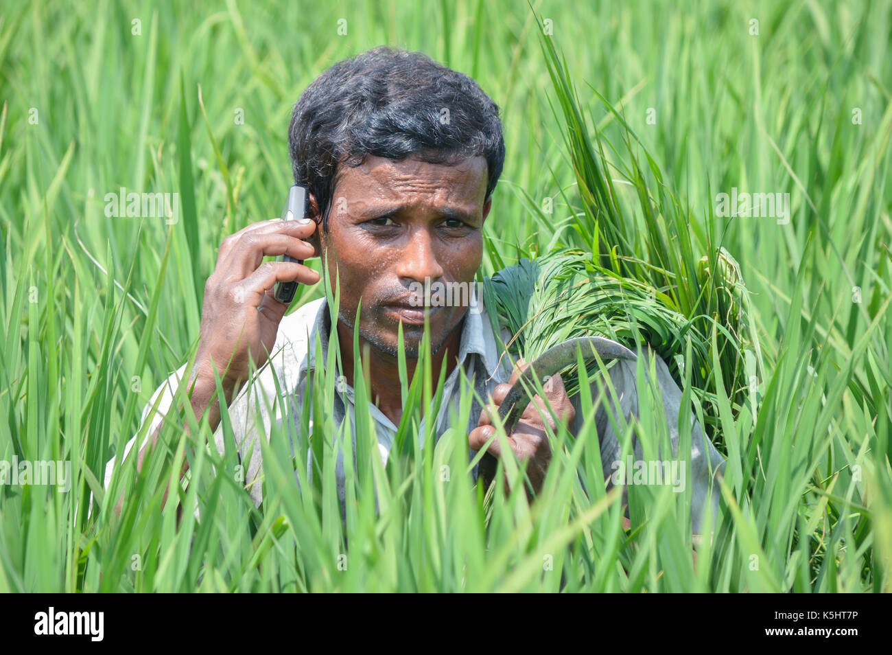 Agricultural extension service hi-res stock photography and images - Alamy