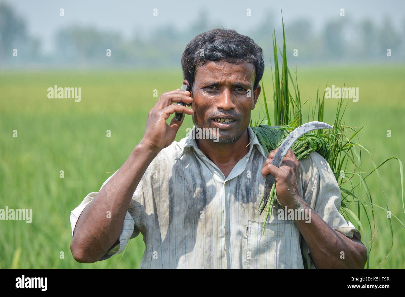 Agricultural extension service hi-res stock photography and images - Alamy