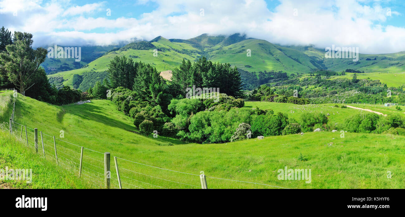 Mountain scenery in summer in Akaroa,New Zealand Stock Photo - Alamy