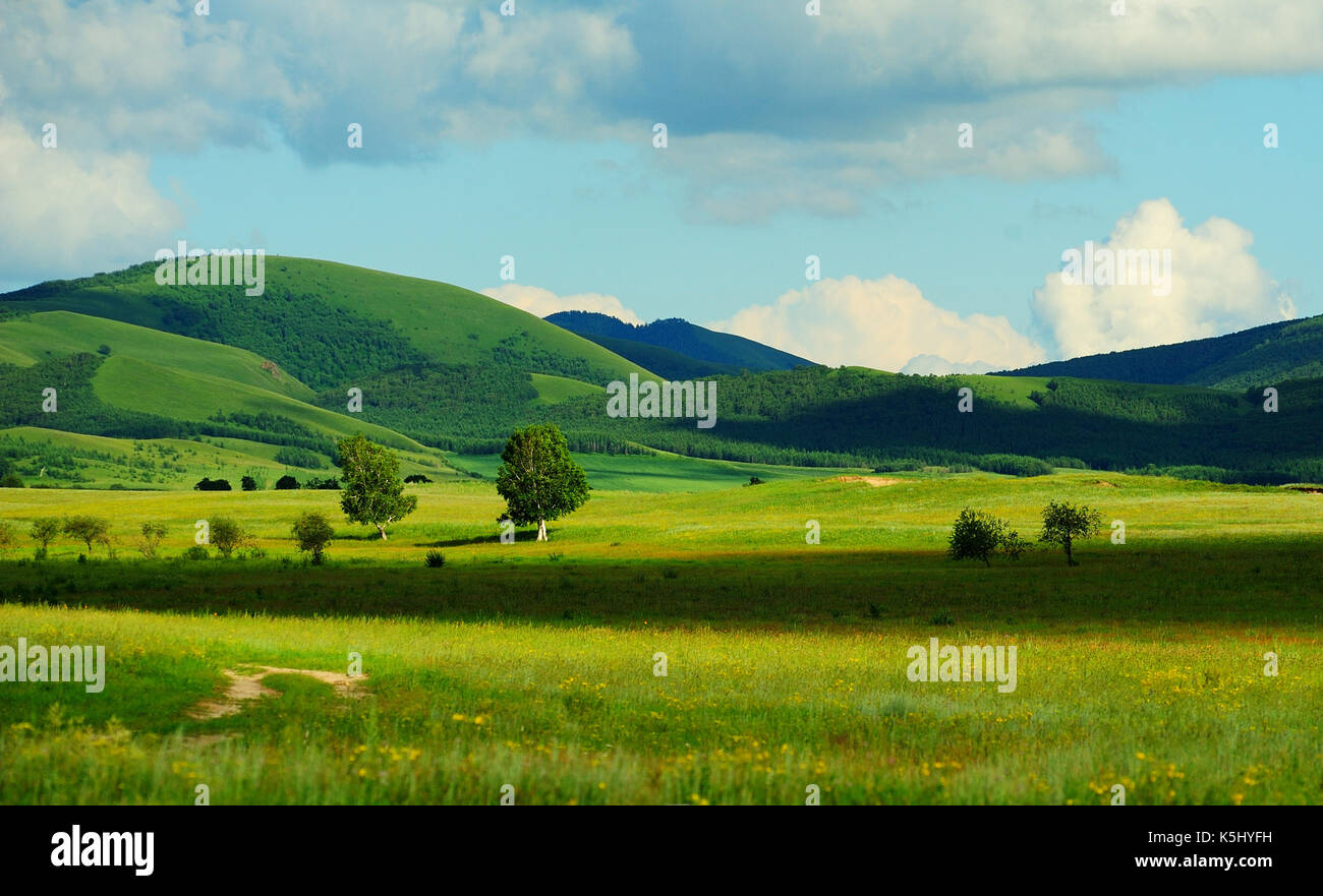 Grassland scenery under blue sky Stock Photo - Alamy