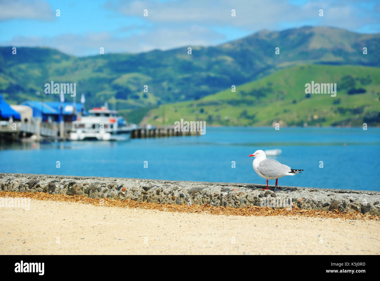 Nz new zealand french bay hi-res stock photography and images - Alamy