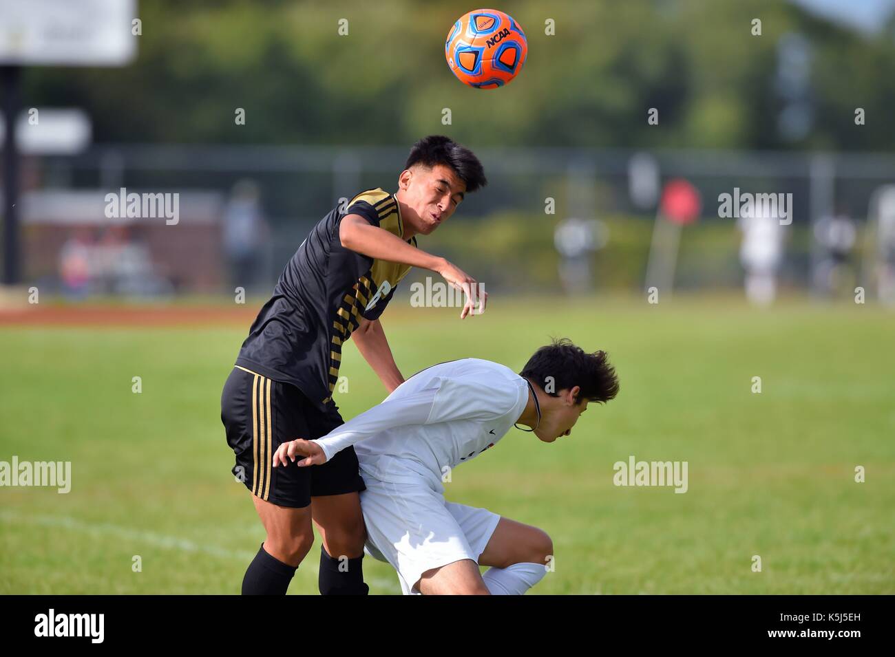 Vaulting team hi-res stock photography and images - Alamy
