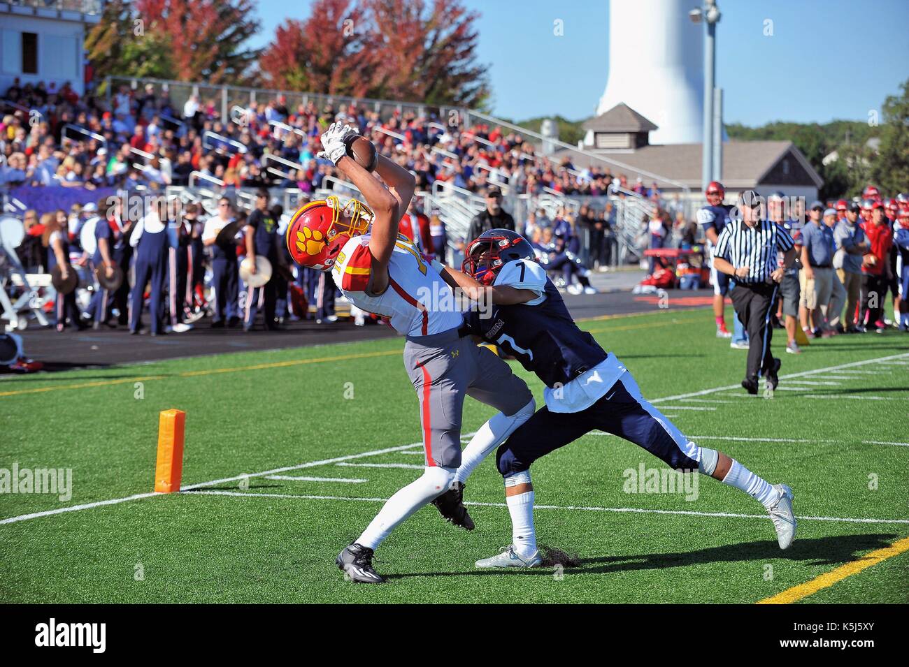 Receiver making a pass reception in the end zone for a touchdown. USA ...