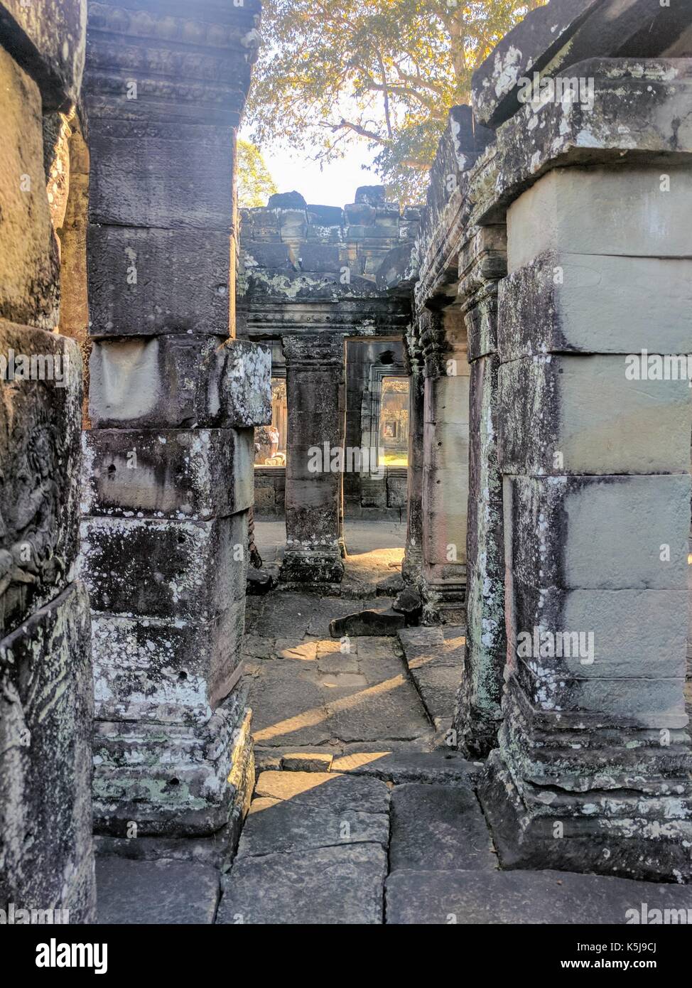 view of the ruins of angkor in the angkor wat temples complex, Krong ...