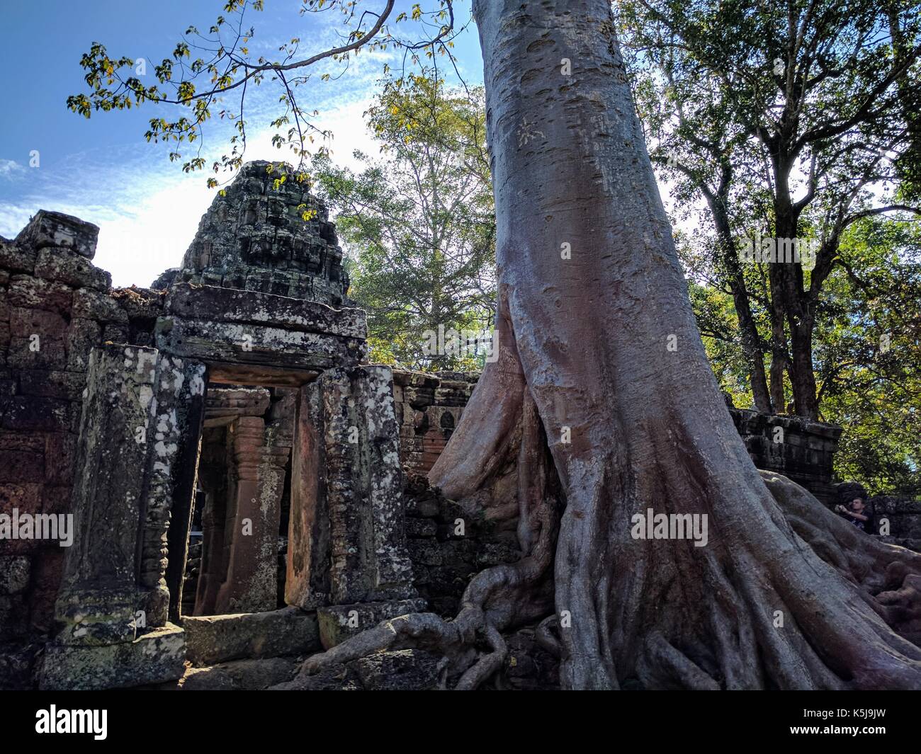view of the ruins of angkor in the angkor wat temples complex, Krong ...