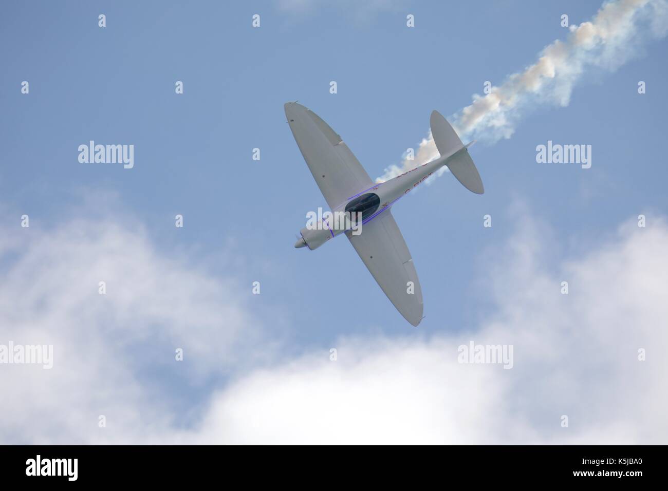 Elliptical canopy hi-res stock photography and images - Alamy