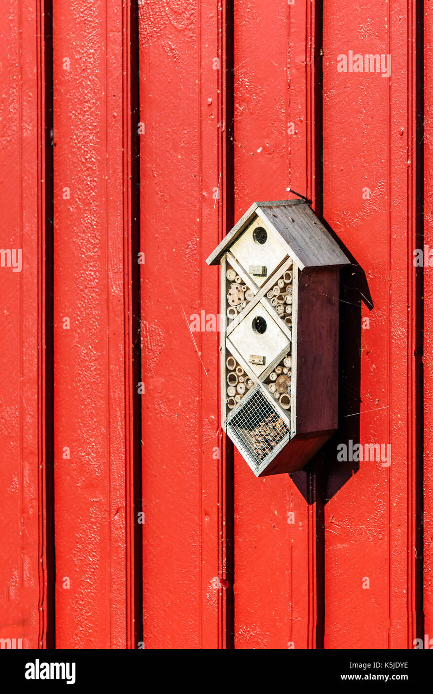 Small insect hotel or bug hotel on red wooden wall Stock Photo - Alamy