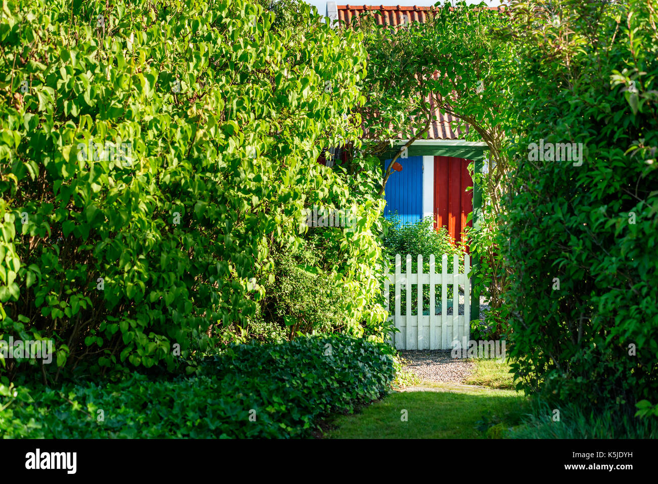 Small and narrow white garden gate with blue cabin door behind ...