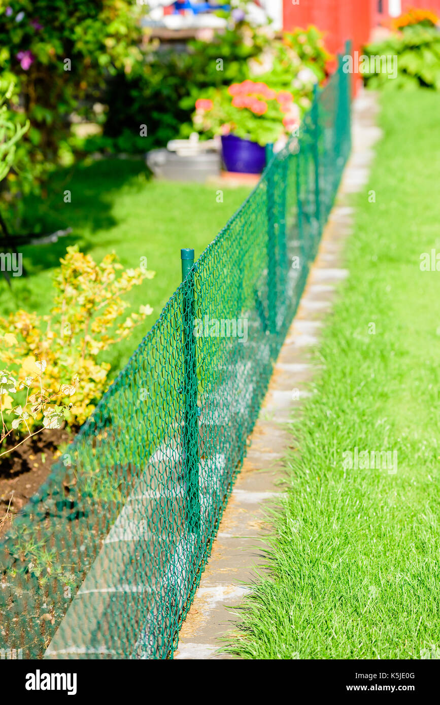 Green mesh garden fence dividing two allotments or yards Stock Photo ...