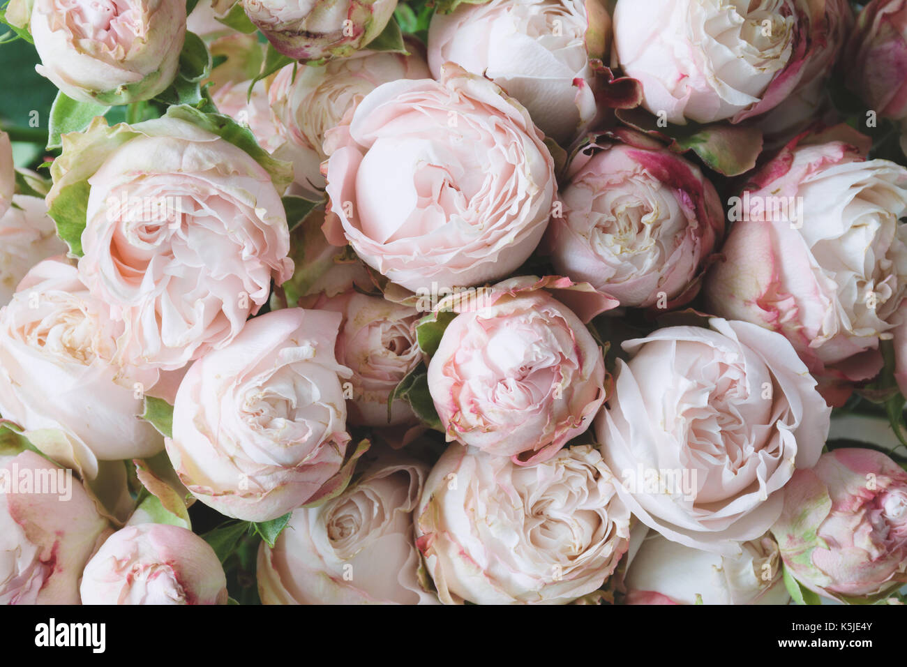 Desaturated effect hi-res stock photography and images - Alamy