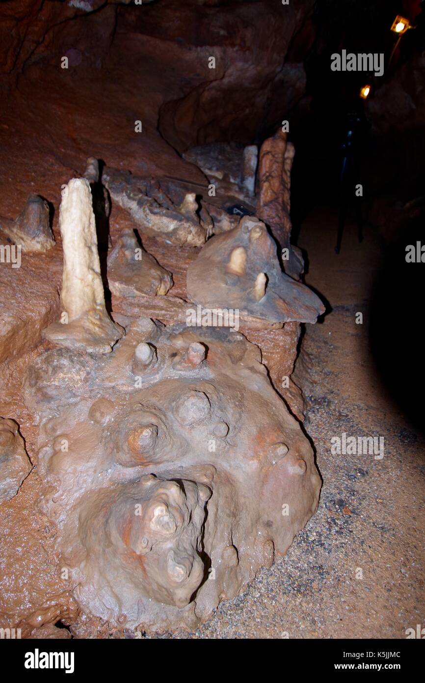 Brixham Cavern, Windmill Hill Bone Cave. An Ancient Monument ...