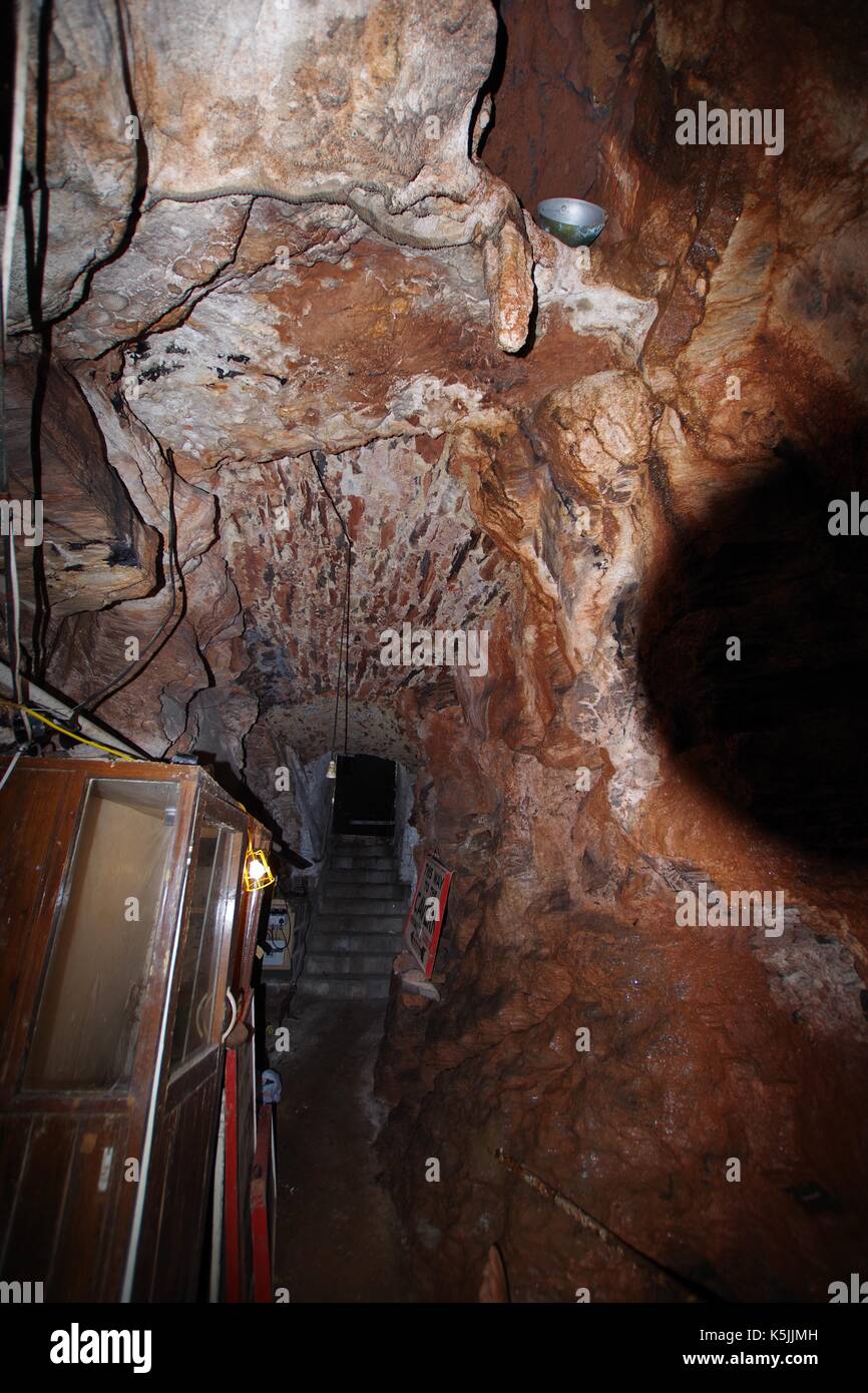 Brixham Cavern, Windmill Hill Bone Cave. An Ancient Monument ...
