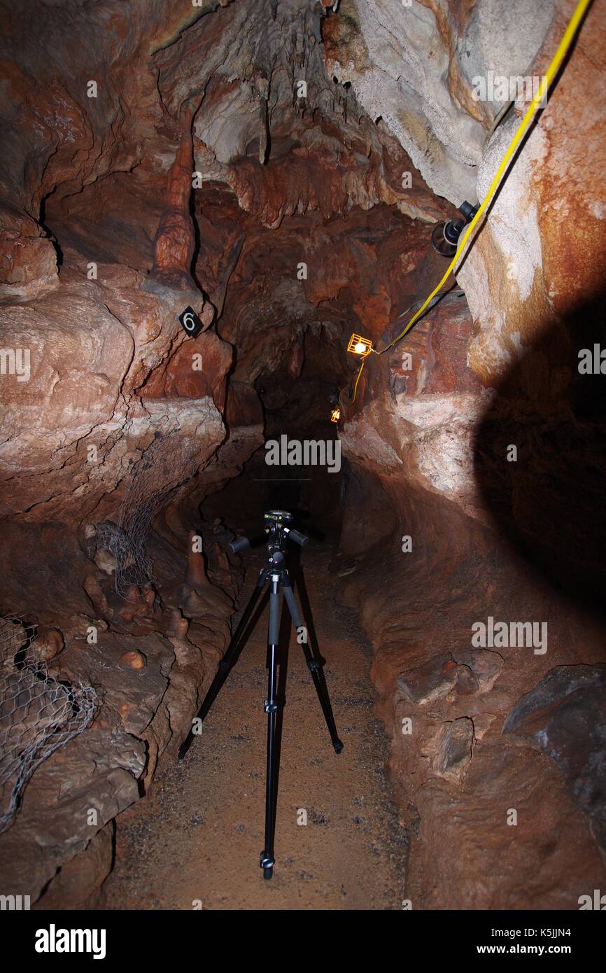 Brixham Cavern, Windmill Hill Bone Cave. An Ancient Monument ...
