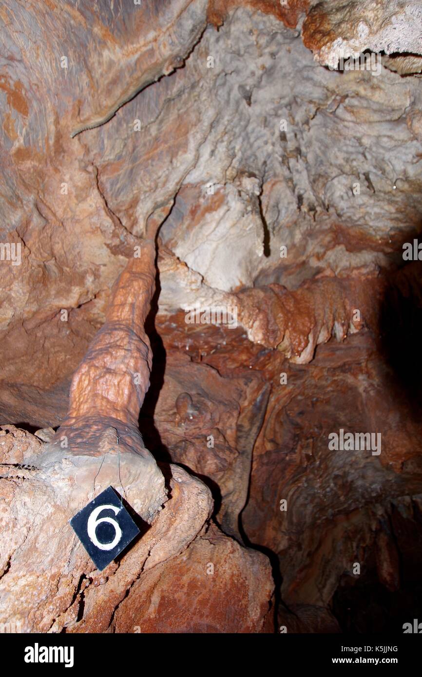 Brixham Cavern, Windmill Hill Bone Cave. An Ancient Monument ...