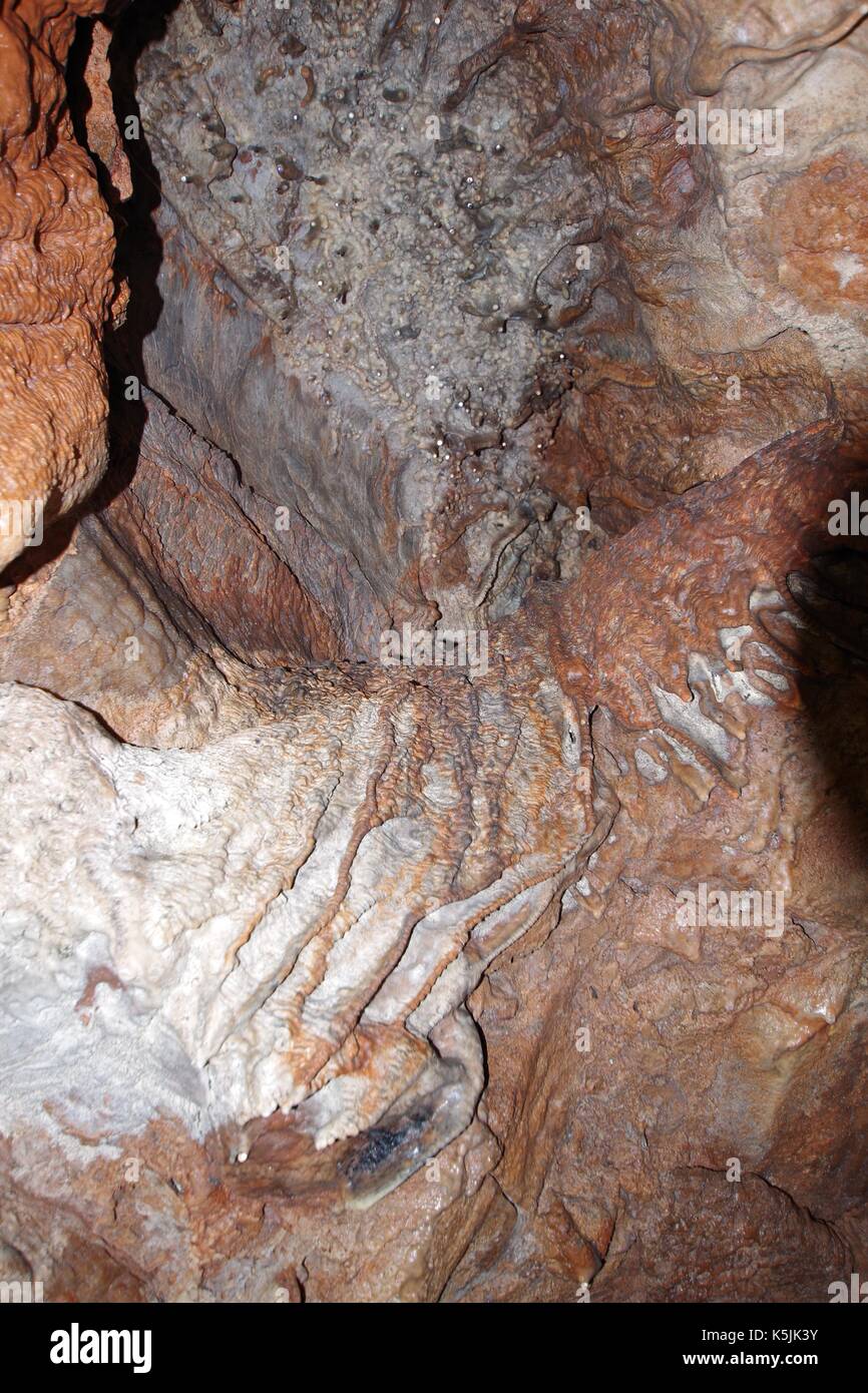 Brixham Cavern, Windmill Hill Bone Cave. An Ancient Monument ...