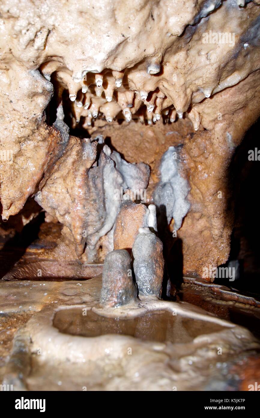 Brixham Cavern, Windmill Hill Bone Cave. An Ancient Monument, Discovered in 1858. Key Bone ...