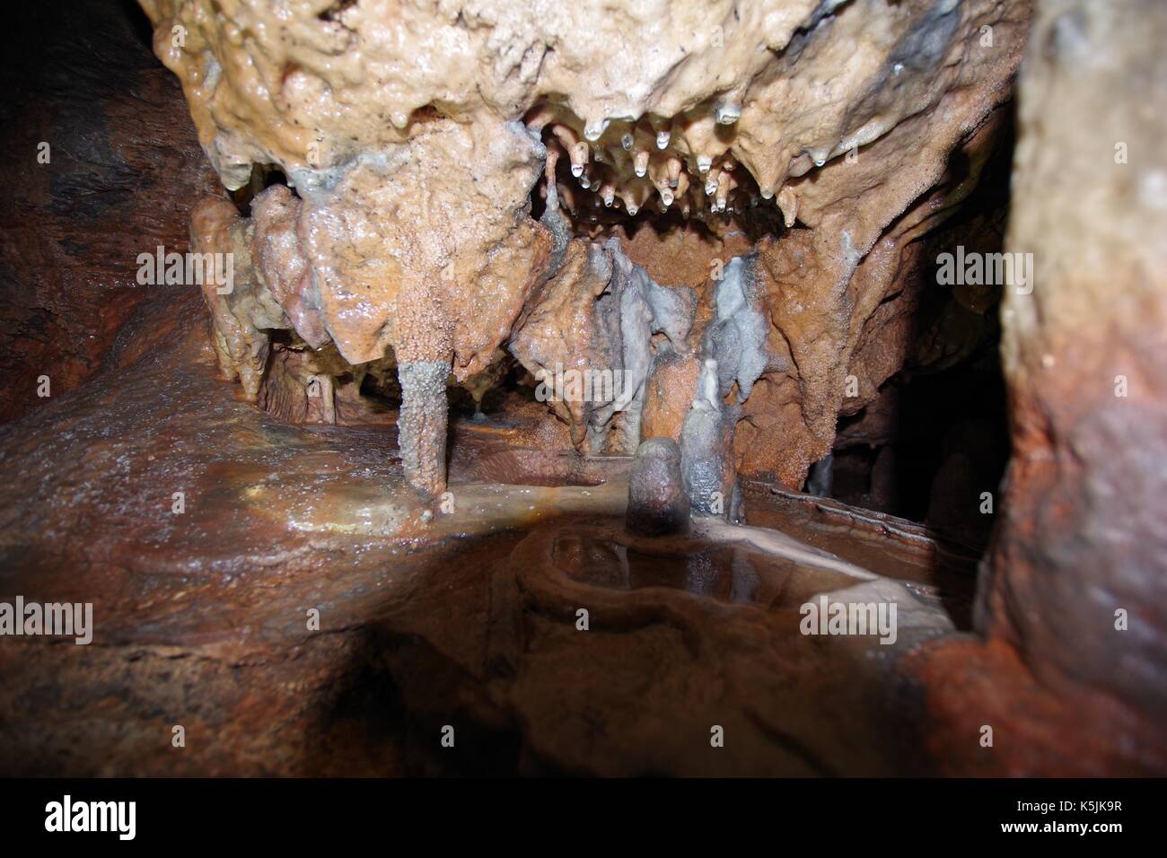 Brixham Cavern, Windmill Hill Bone Cave. An Ancient Monument ...
