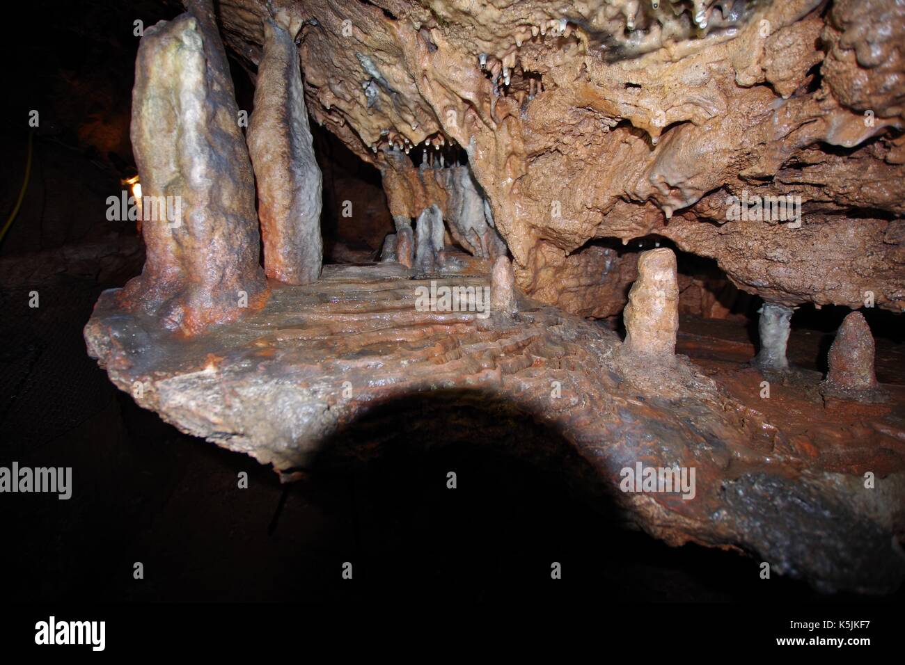 Brixham Cavern, Windmill Hill Bone Cave. An Ancient Monument ...