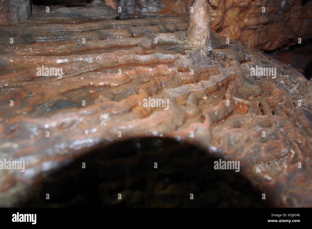 Brixham Cavern, Windmill Hill Bone Cave. An Ancient Monument ...
