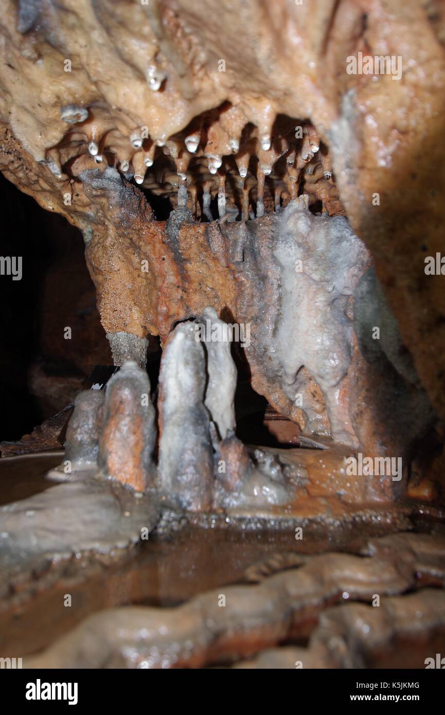 Brixham Cavern, Windmill Hill Bone Cave. An Ancient Monument ...