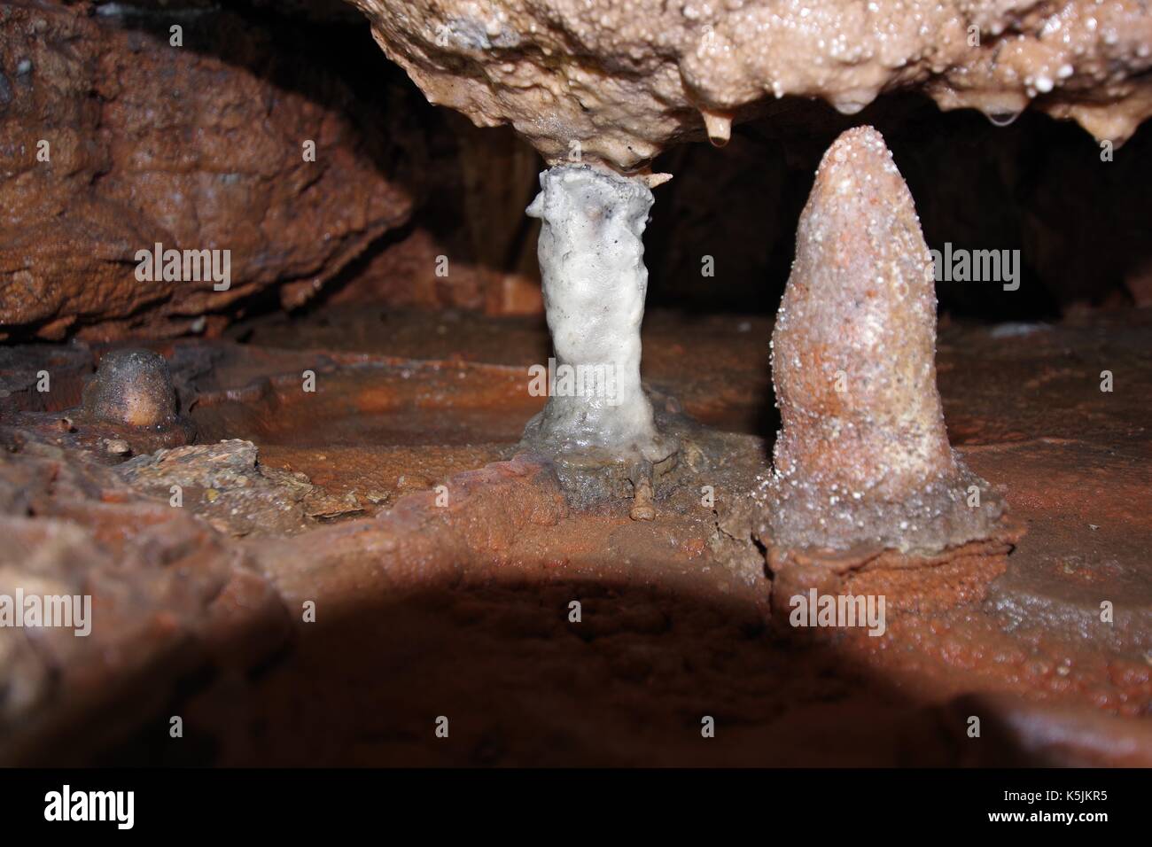 Brixham Cavern, Windmill Hill Bone Cave. An Ancient Monument ...