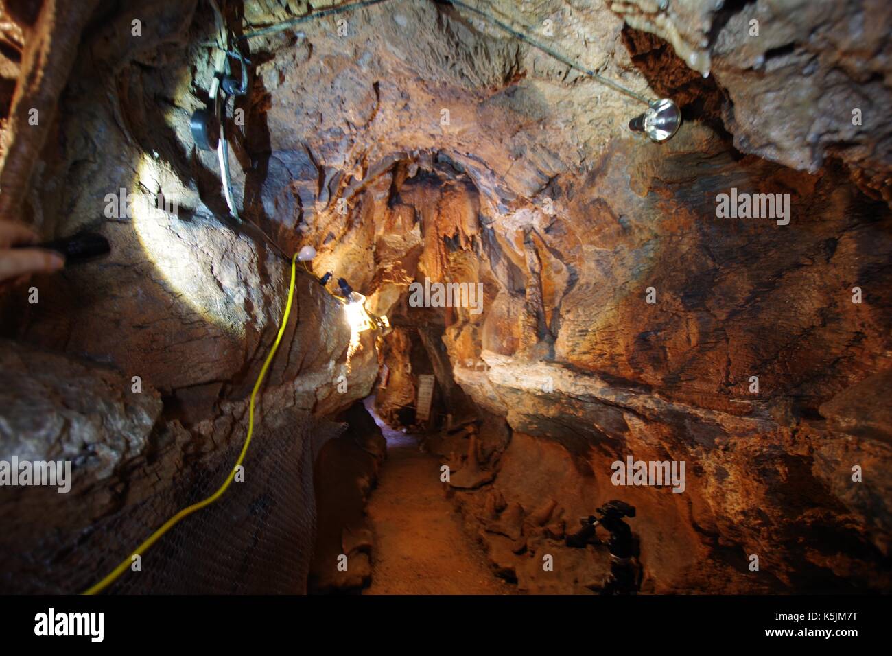 Brixham Cavern, Windmill Hill Bone Cave. An Ancient Monument ...