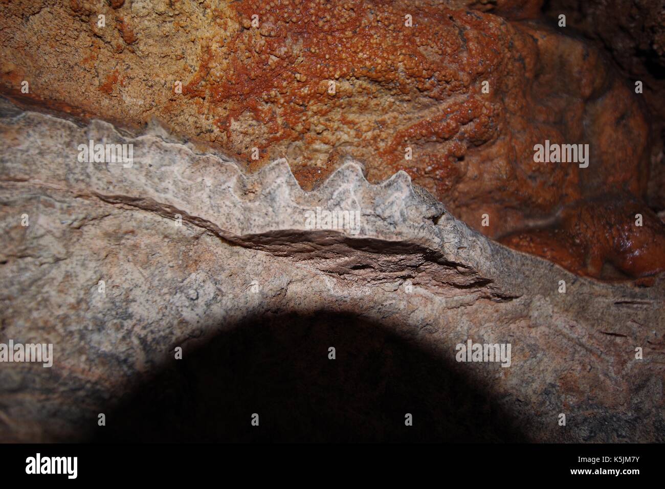 Brixham Cavern, Windmill Hill Bone Cave. An Ancient Monument ...