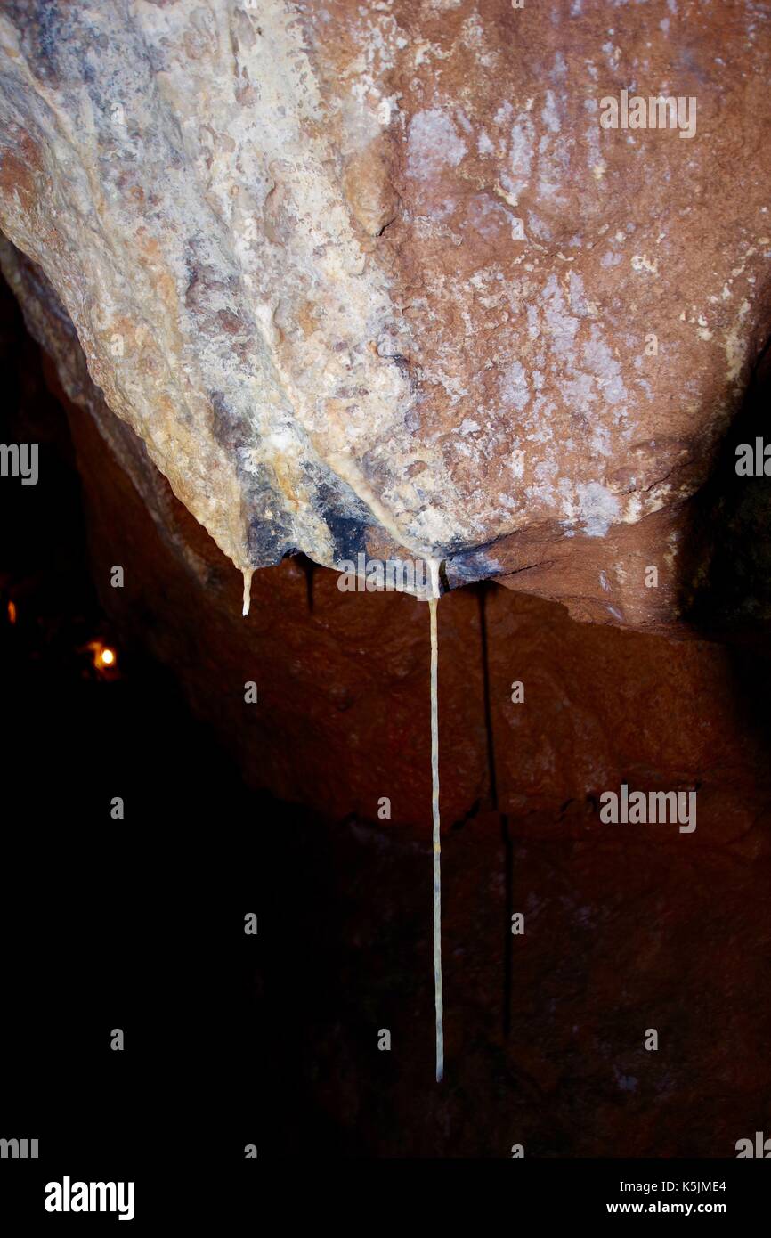 Brixham Cavern, Windmill Hill Bone Cave. An Ancient Monument ...