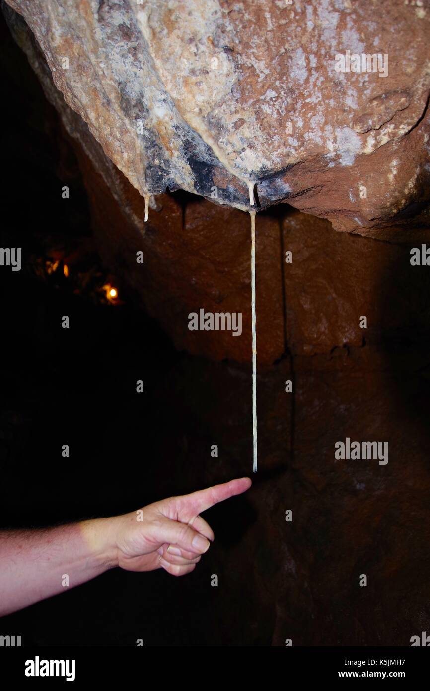 Brixham Cavern, Windmill Hill Bone Cave. An Ancient Monument ...