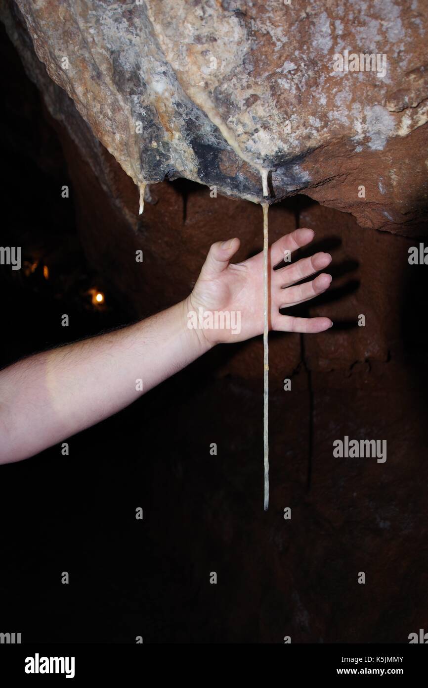 Brixham Cavern, Windmill Hill Bone Cave. An Ancient Monument ...