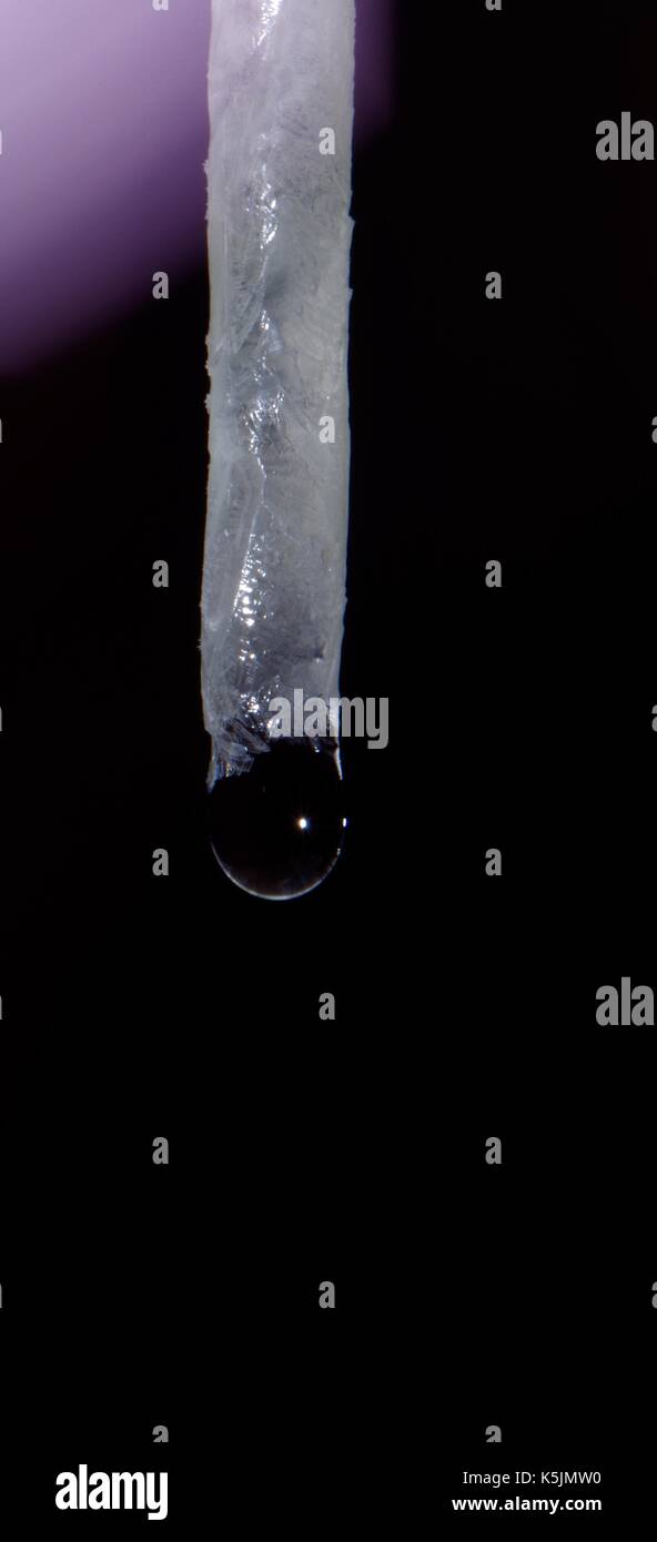 Brixham Cavern, Windmill Hill Bone Cave. An Ancient Monument ...