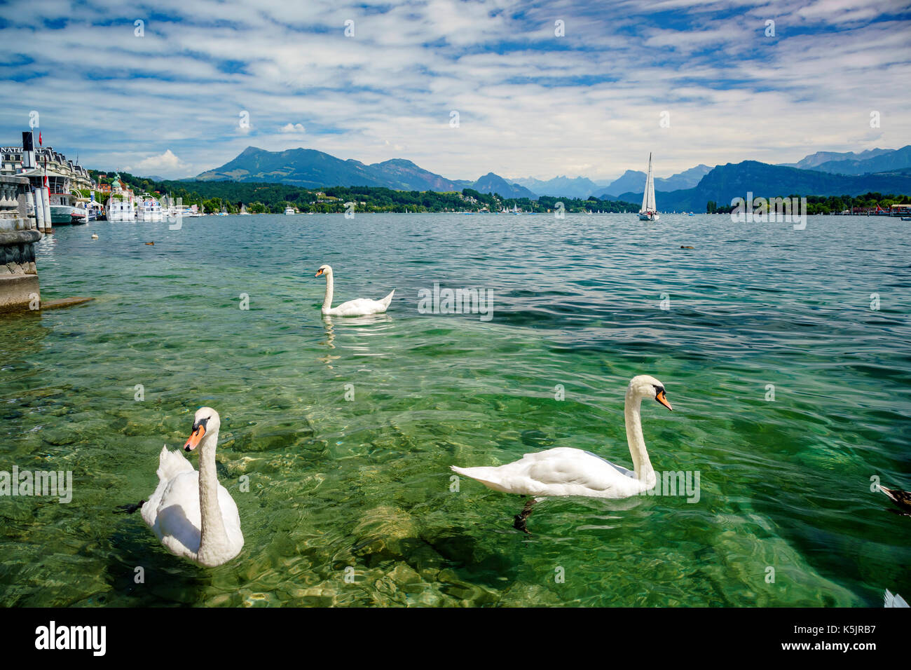 The beautiful Luzern lake with ships, boats, and birds at Luzern ...