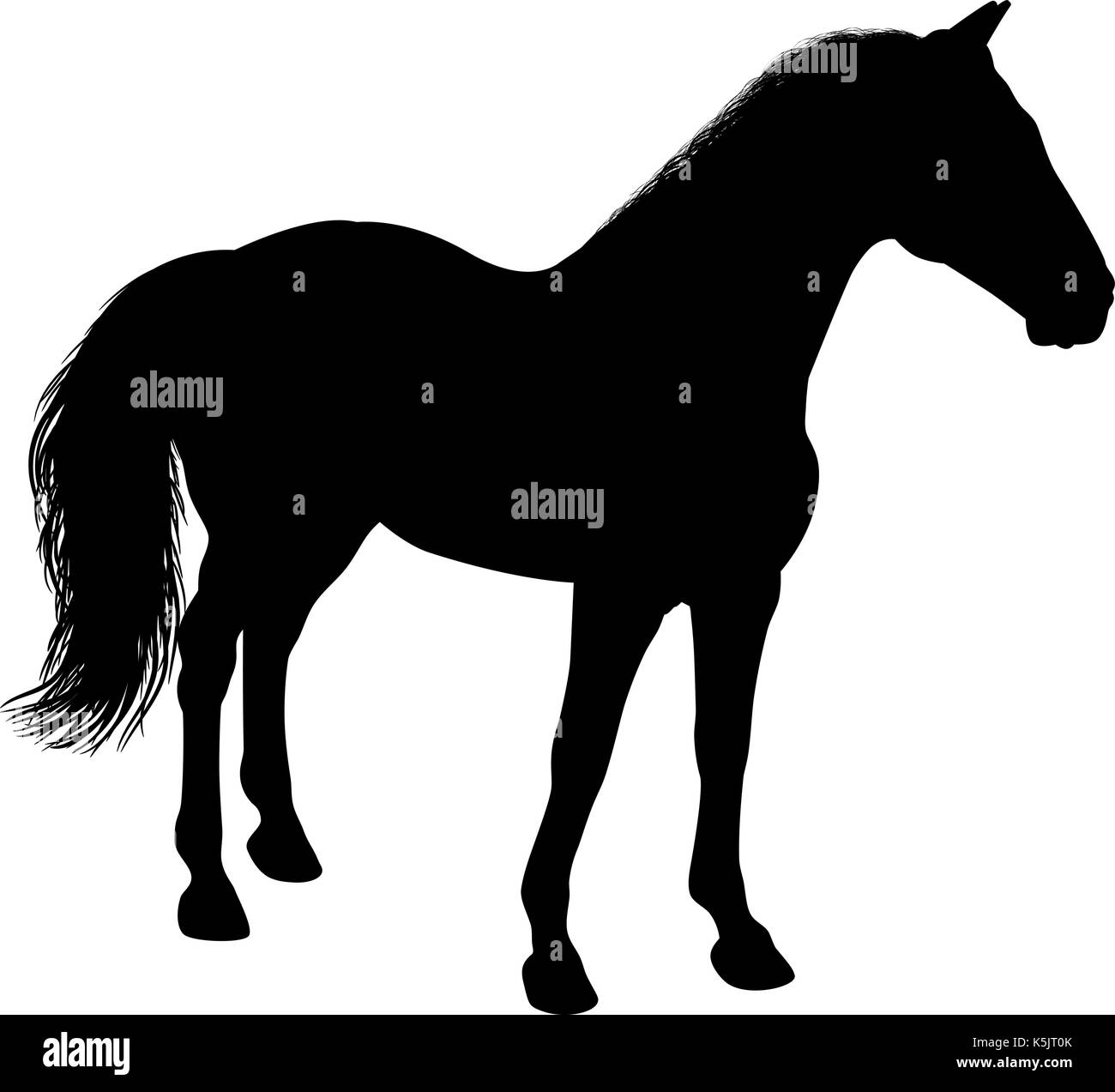 Standing Horse Outline