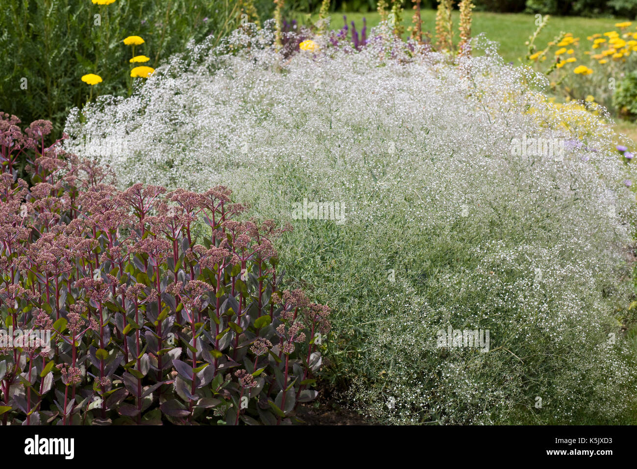 decorative flowering borders Stock Photo - Alamy