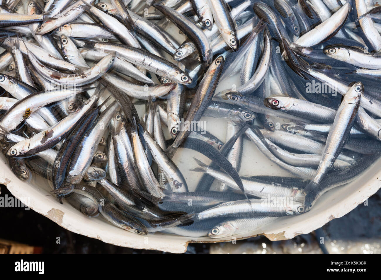 fish exposed in open market Stock Photo - Alamy