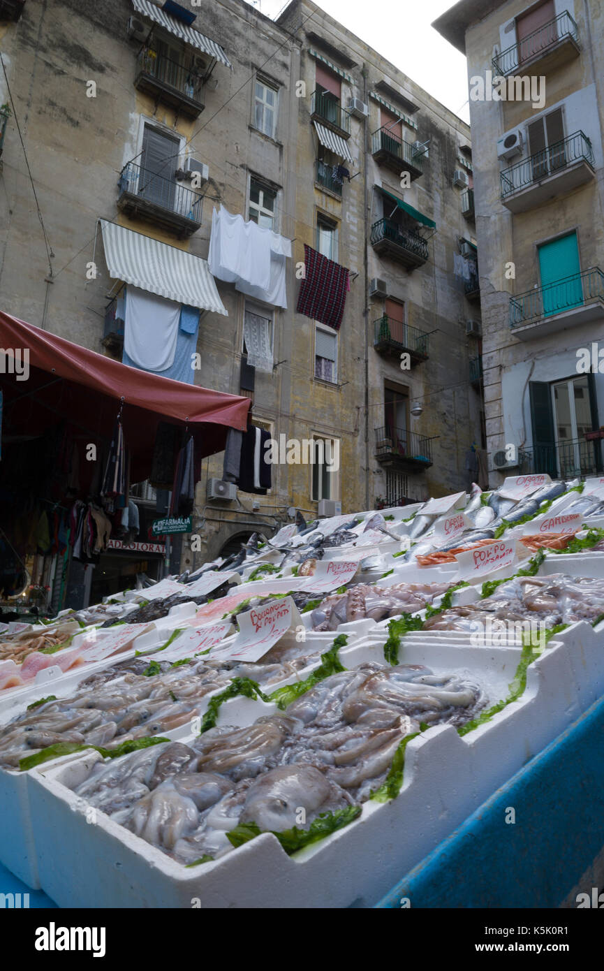 Mediterranean fish exposed in open seafood market Stock Photo - Alamy