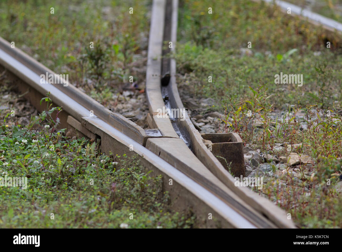 Steel railway tracks for tram Stock Photo - Alamy