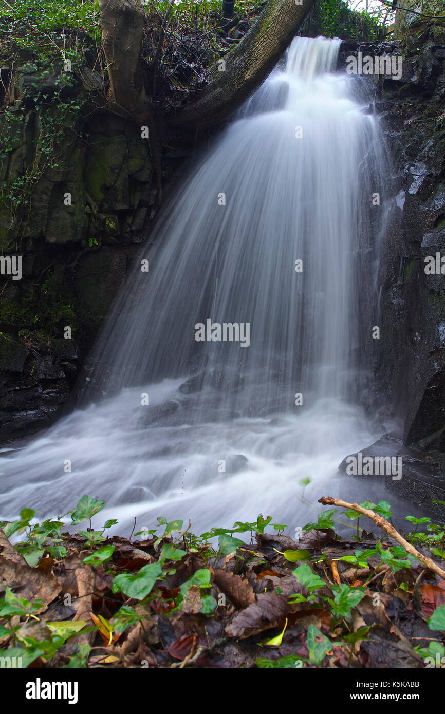 Waterfall with foreground hi-res stock photography and images - Alamy